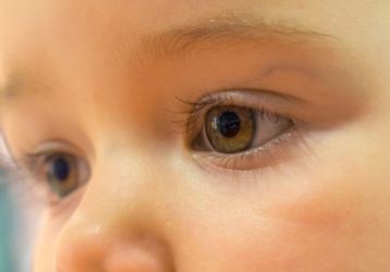 How do our eyes grow? | ICR-Institut Català de Retina